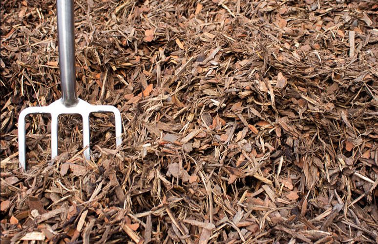 Bark Mulch – Taupo Landscape Supplies